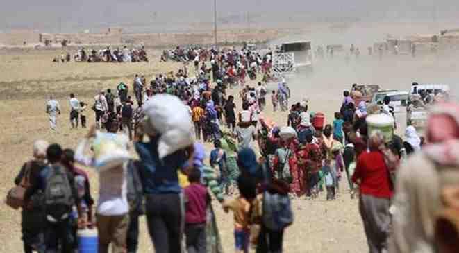 منظمة الهجرة العالمية عدد النازحين في العراق تجاوز مليوني شخص شبكة